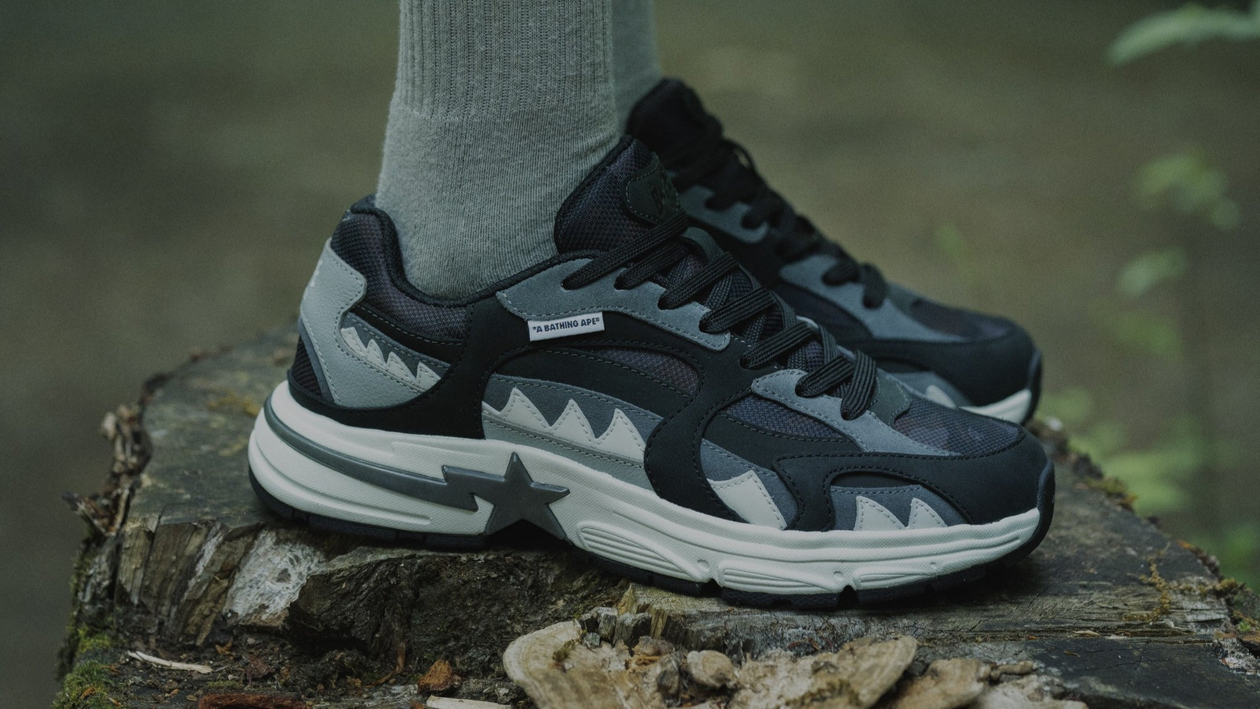 SHARK STA – eu.bape.com